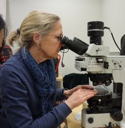 Susan Buck - The Traditional Building Conference Series